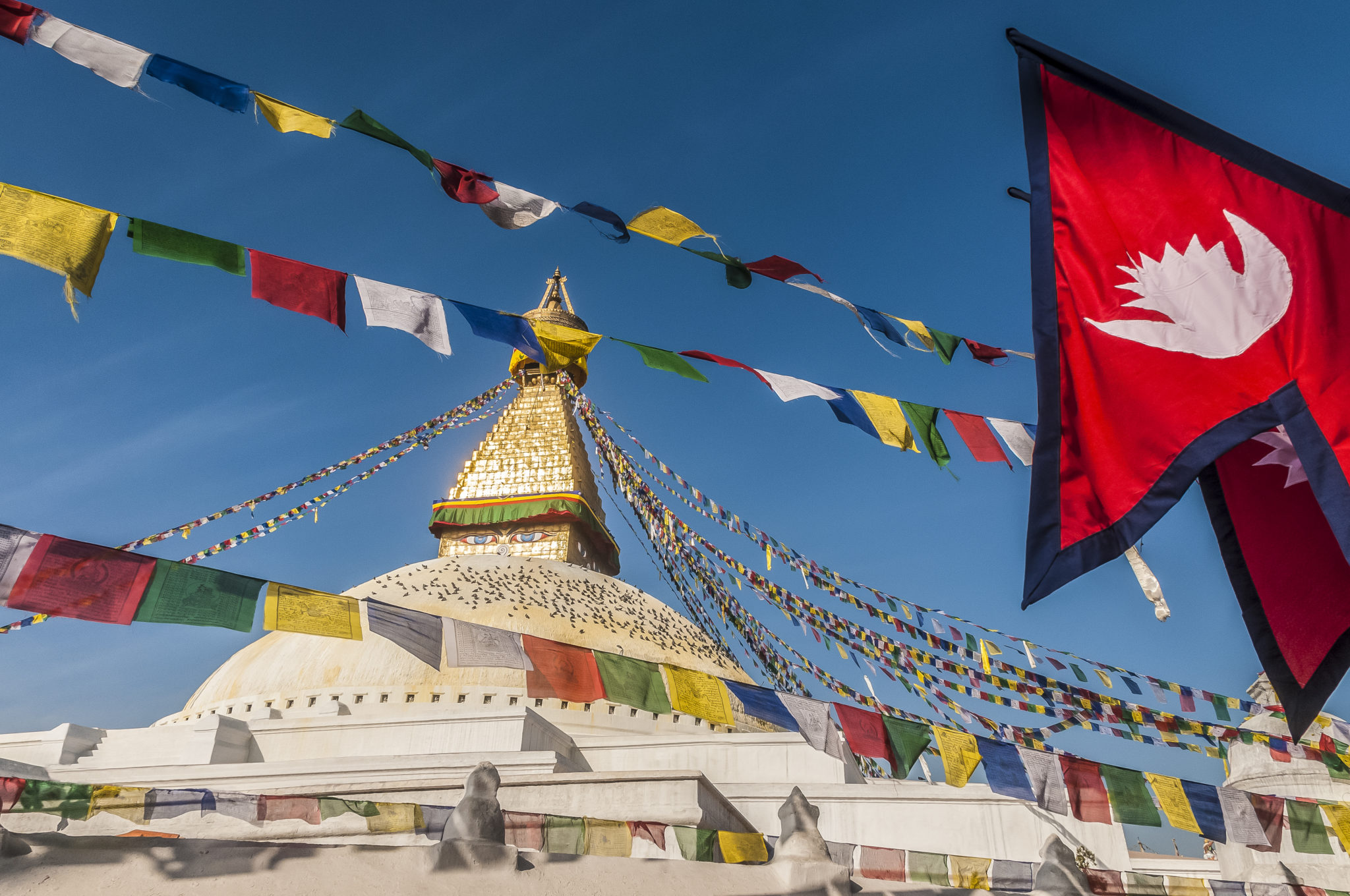Nepali To English Translation Services All Language Alliance Inc 
